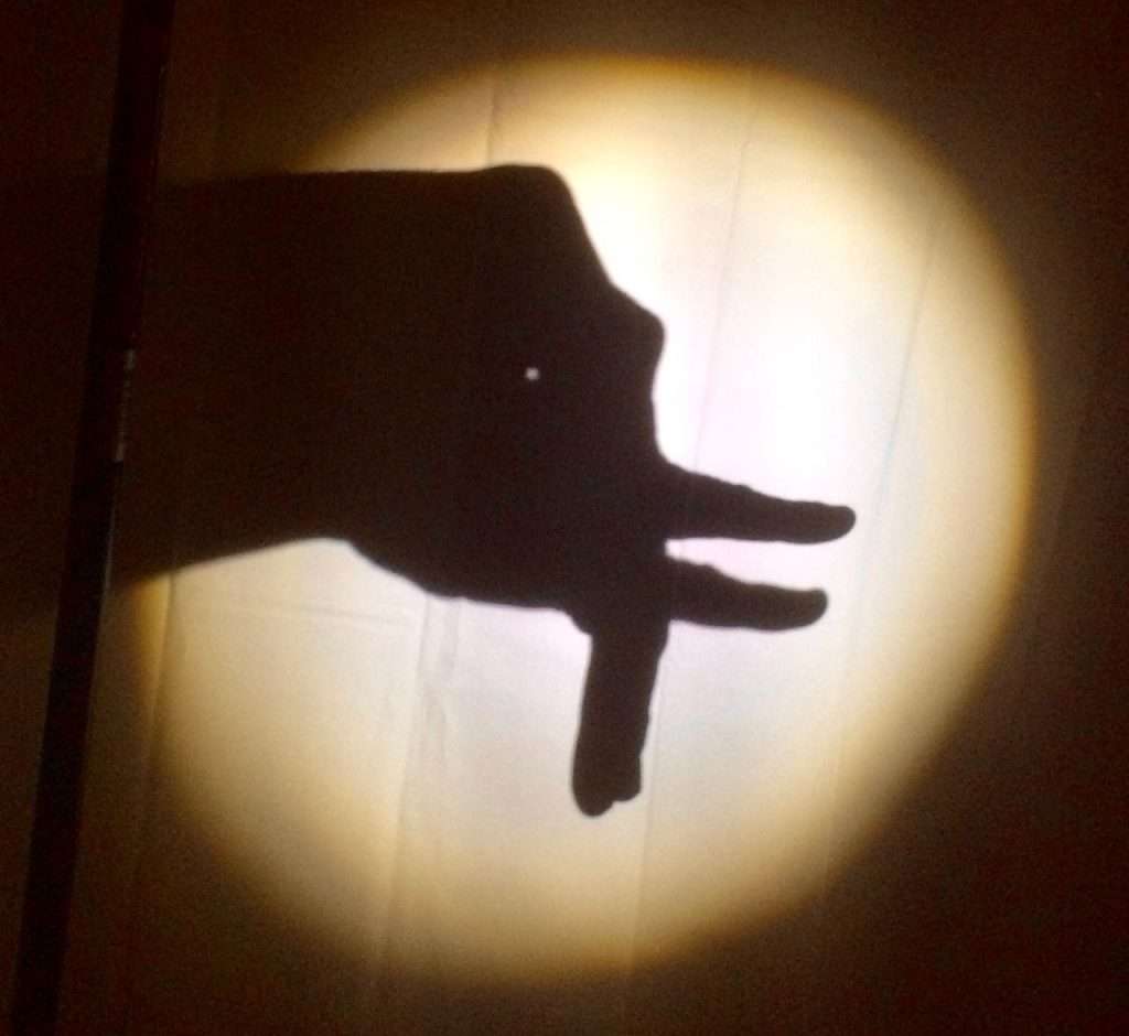 Hand Shadows - Mr. Damon's Theater Arts & Puppets